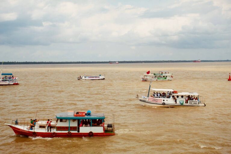Cobra-grande evocada na COP30: Cúpula dos povos abre com barqueada ...